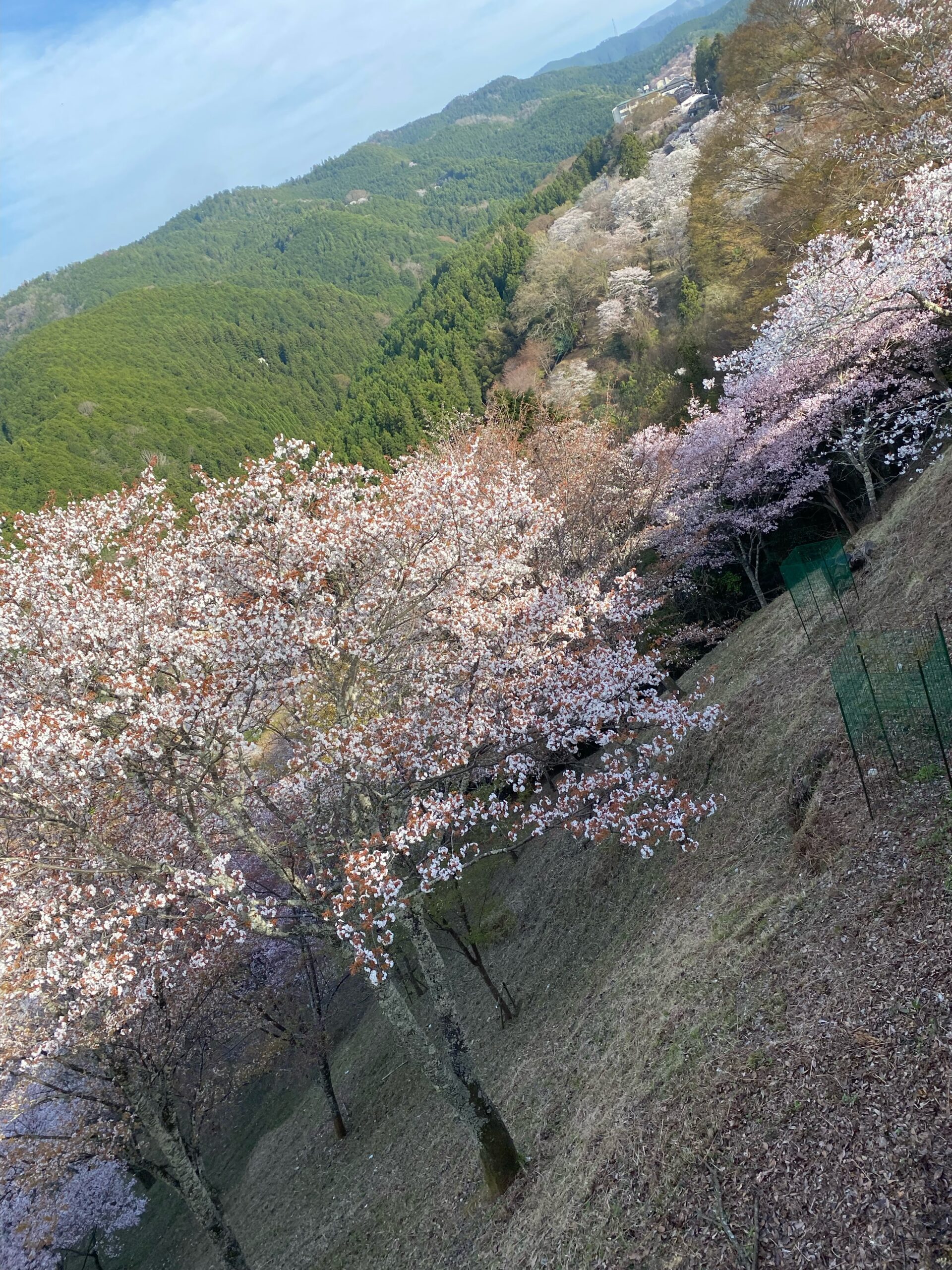 新年度になりまして - Axis Support