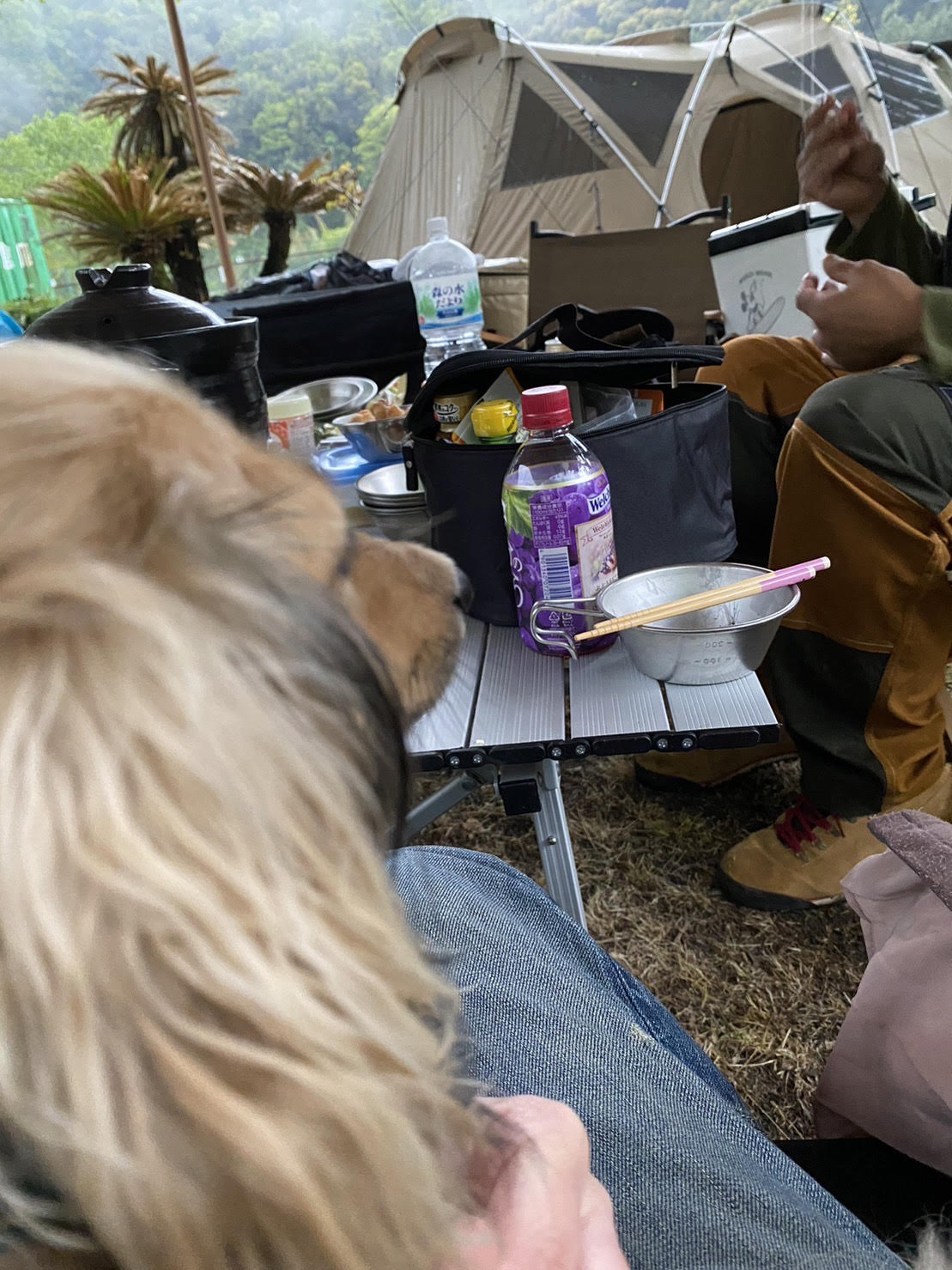 雨も楽しい - Axis Support