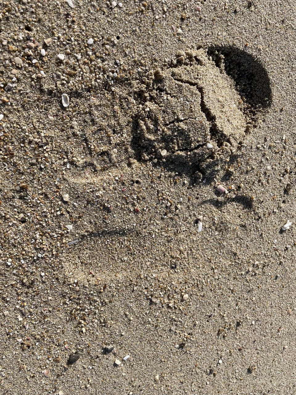 足跡から推測できる力の入れ方 - Axis Support