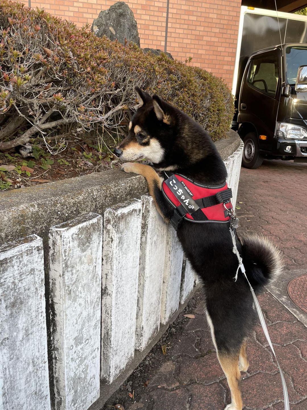 良い姿勢とは？ - Axis Support