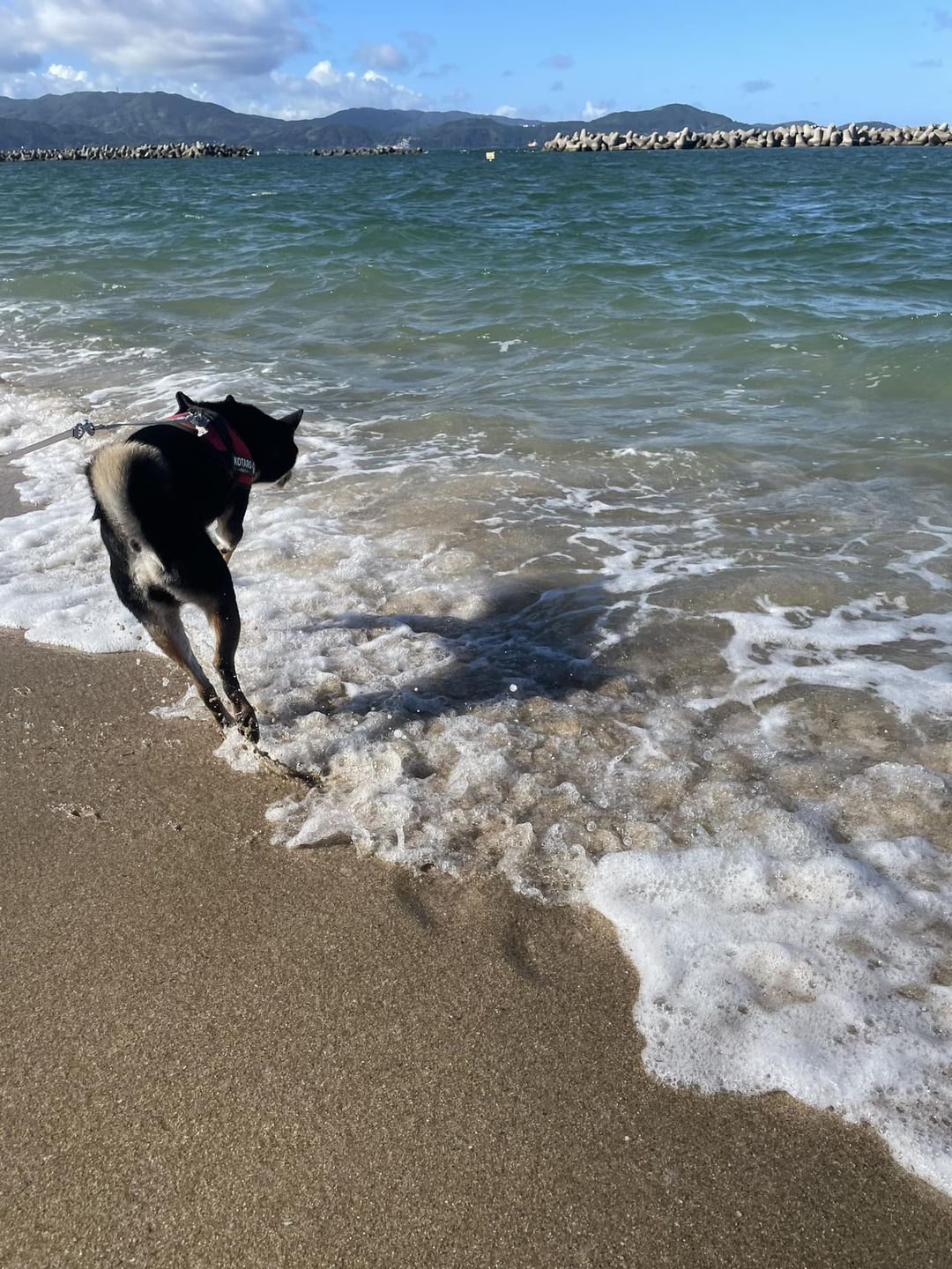 ダイエットを成功させるコツ - Axis Support