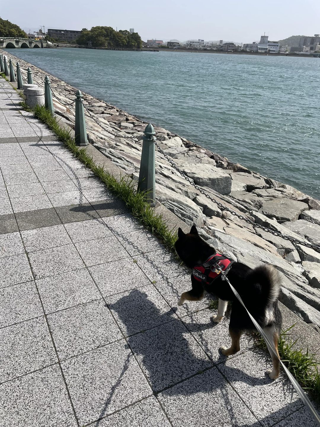 魔法のコツ、ついに公開！ - Axis Support