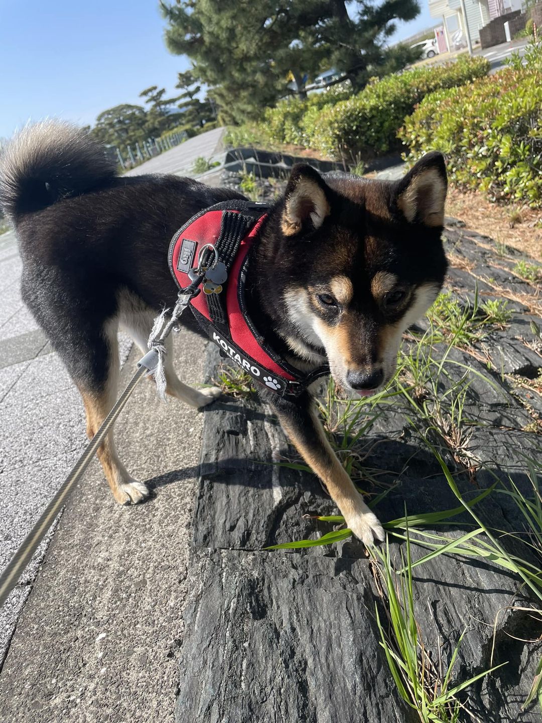 変化する感覚 - Axis Support