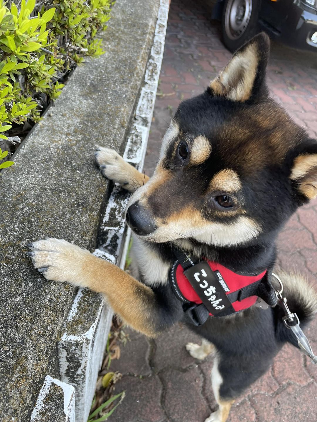 足が太くならない歩き方 - Axis Support