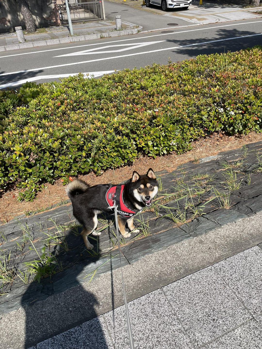 突然の電話 - Axis Support