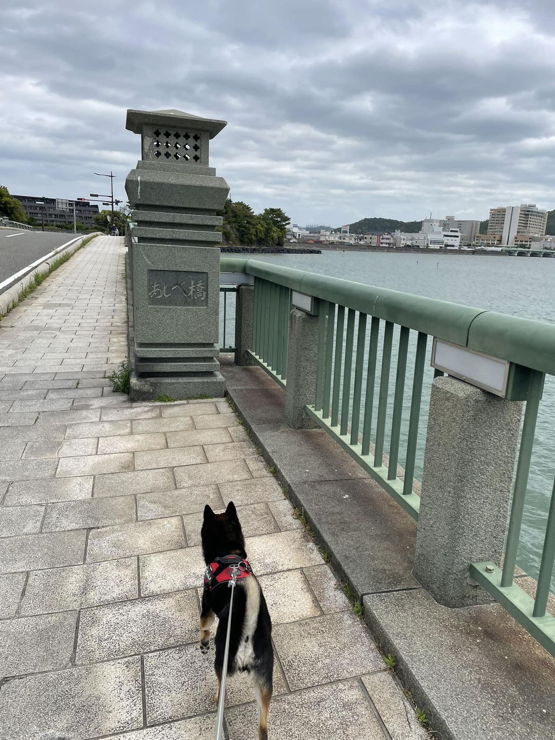 手術後の身体を、どうつなげるか？ - Axis Support