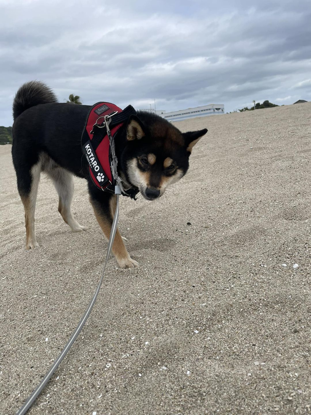 仕事の向き合い方 - Axis Support