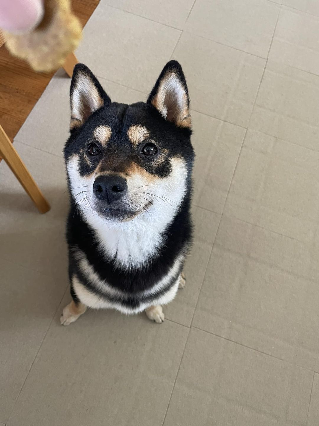 一手先を見る力 - Axis Support