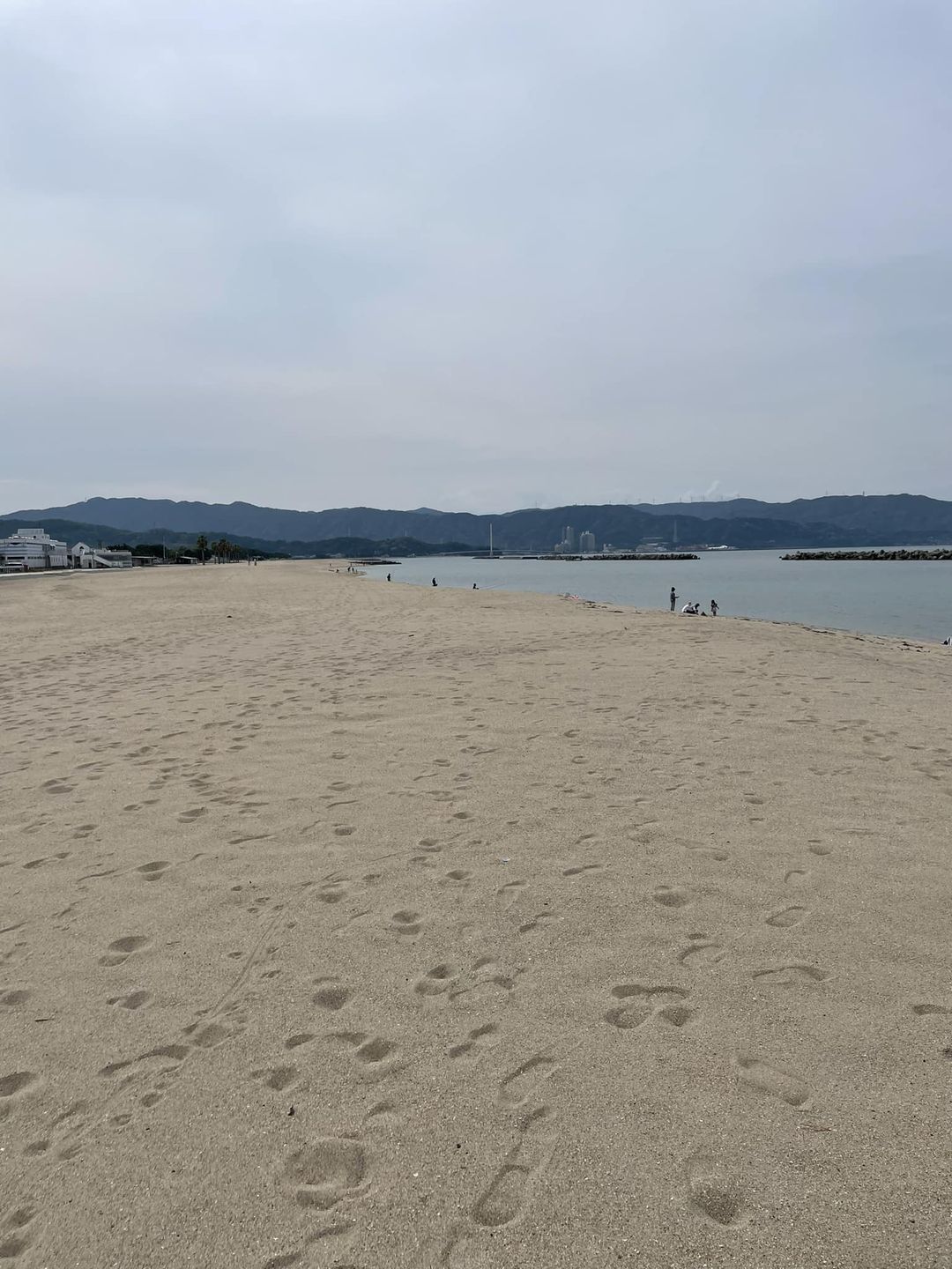 器を育てる - Axis Support