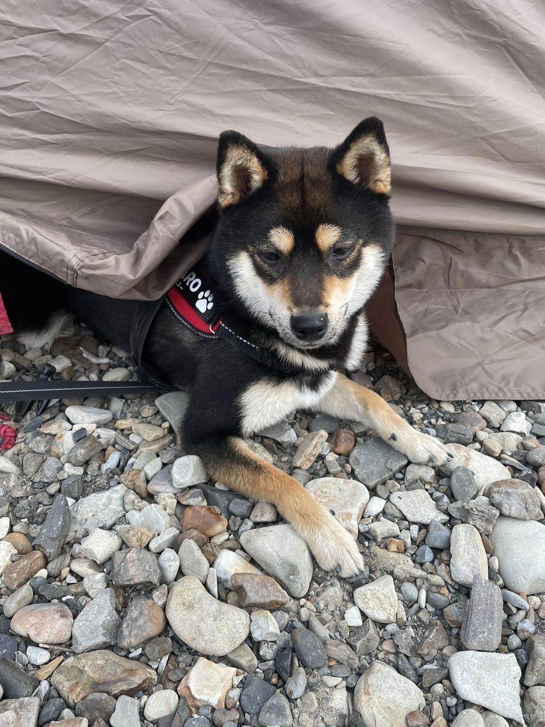 熱湯風呂は身体に悪い？ - Axis Support