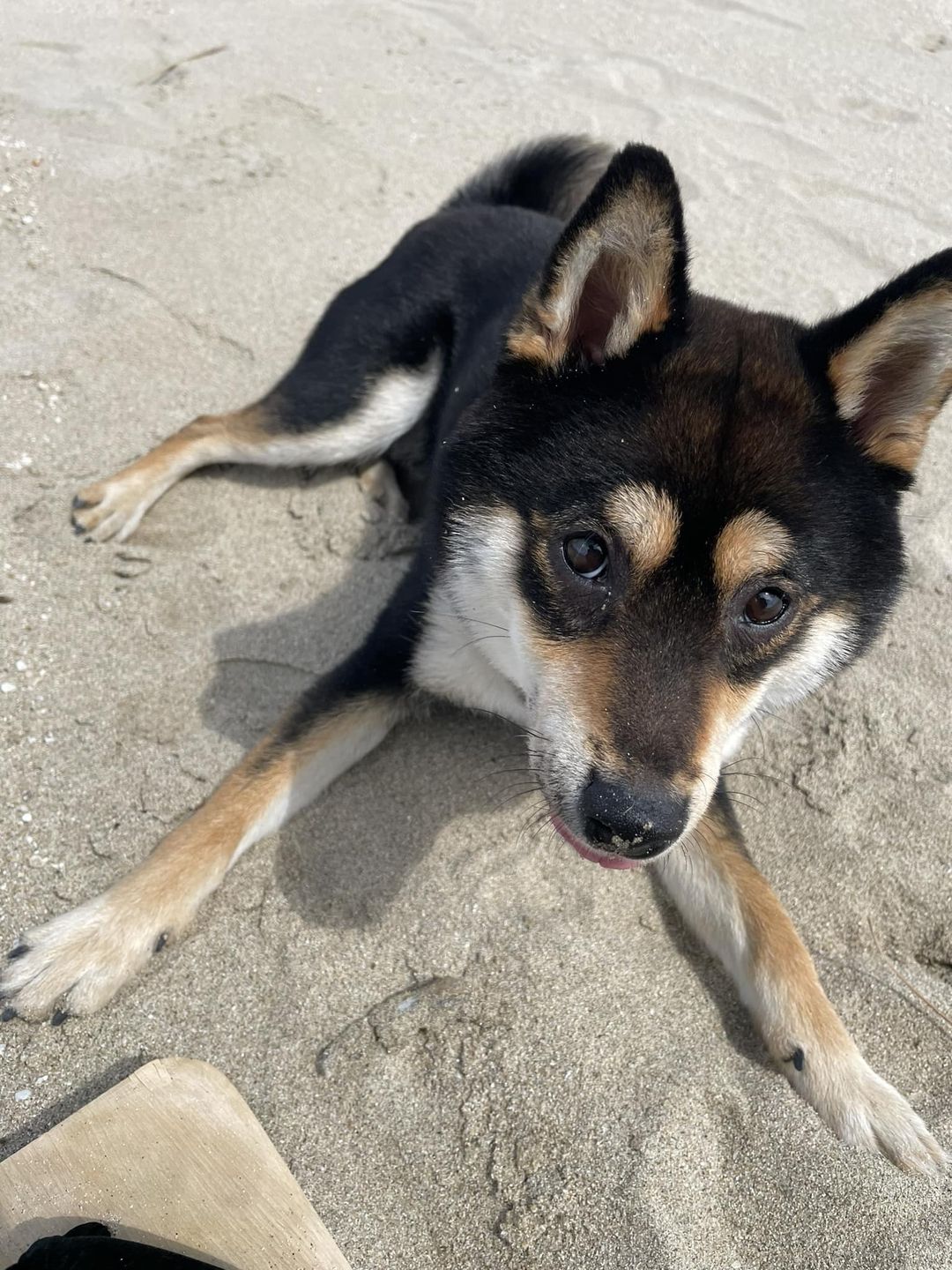 30年前の傷跡 - Axis Support