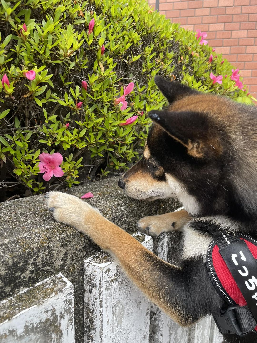 子供の学習で気づく - Axis Support