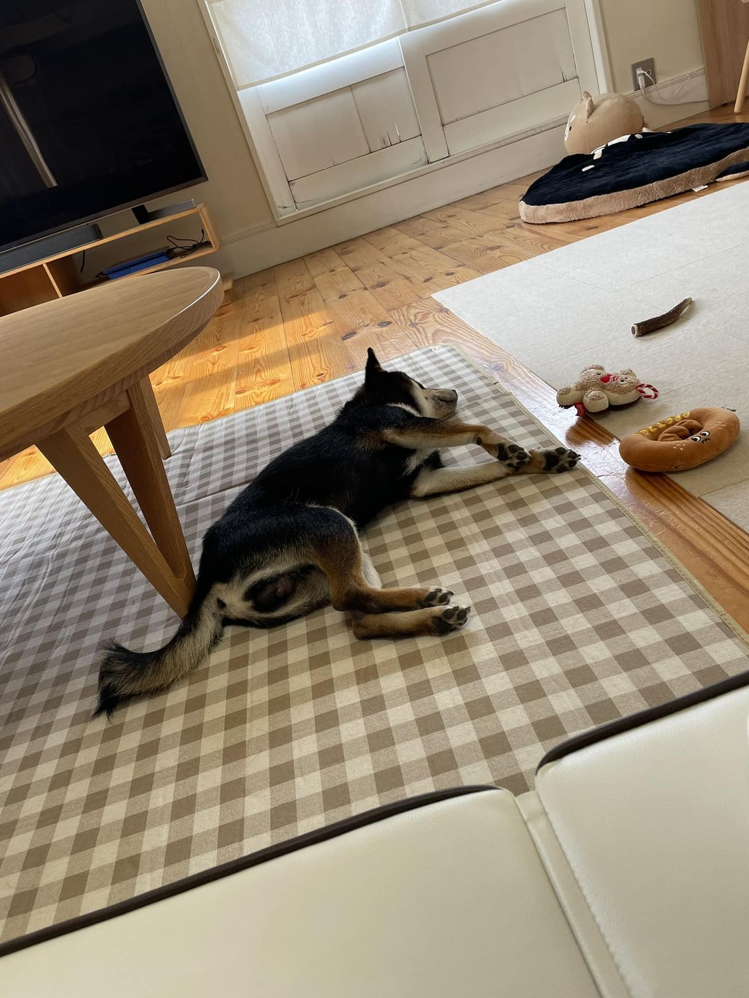 アイツの経過 - Axis Support