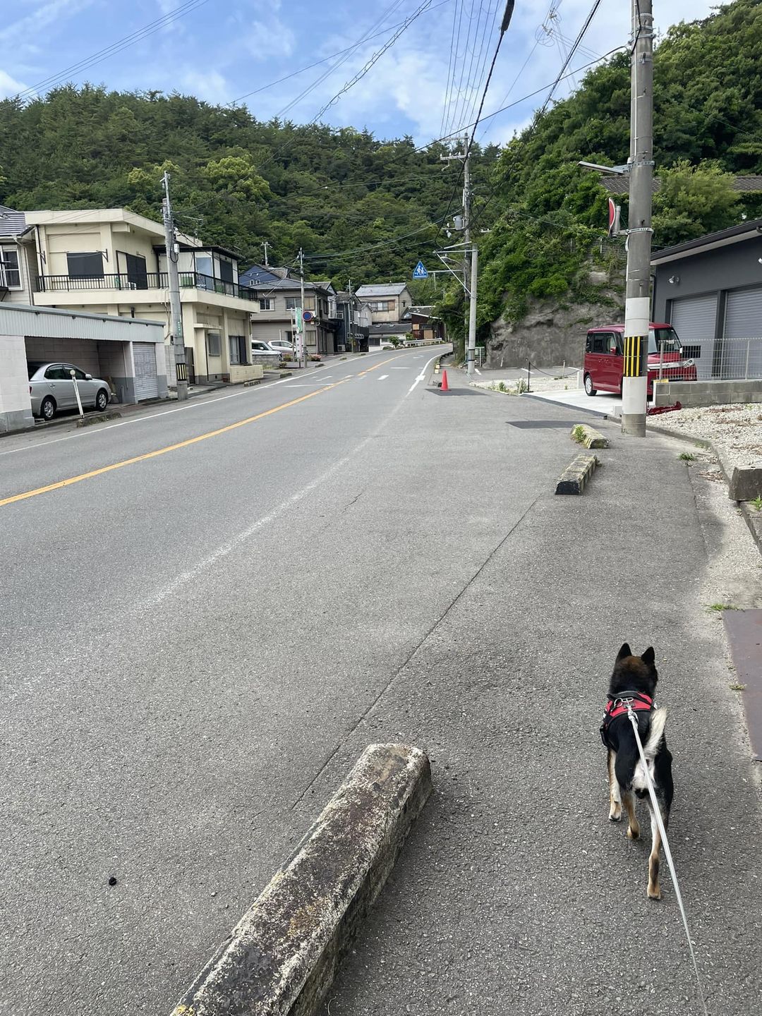 痛みを分解する - Axis Support