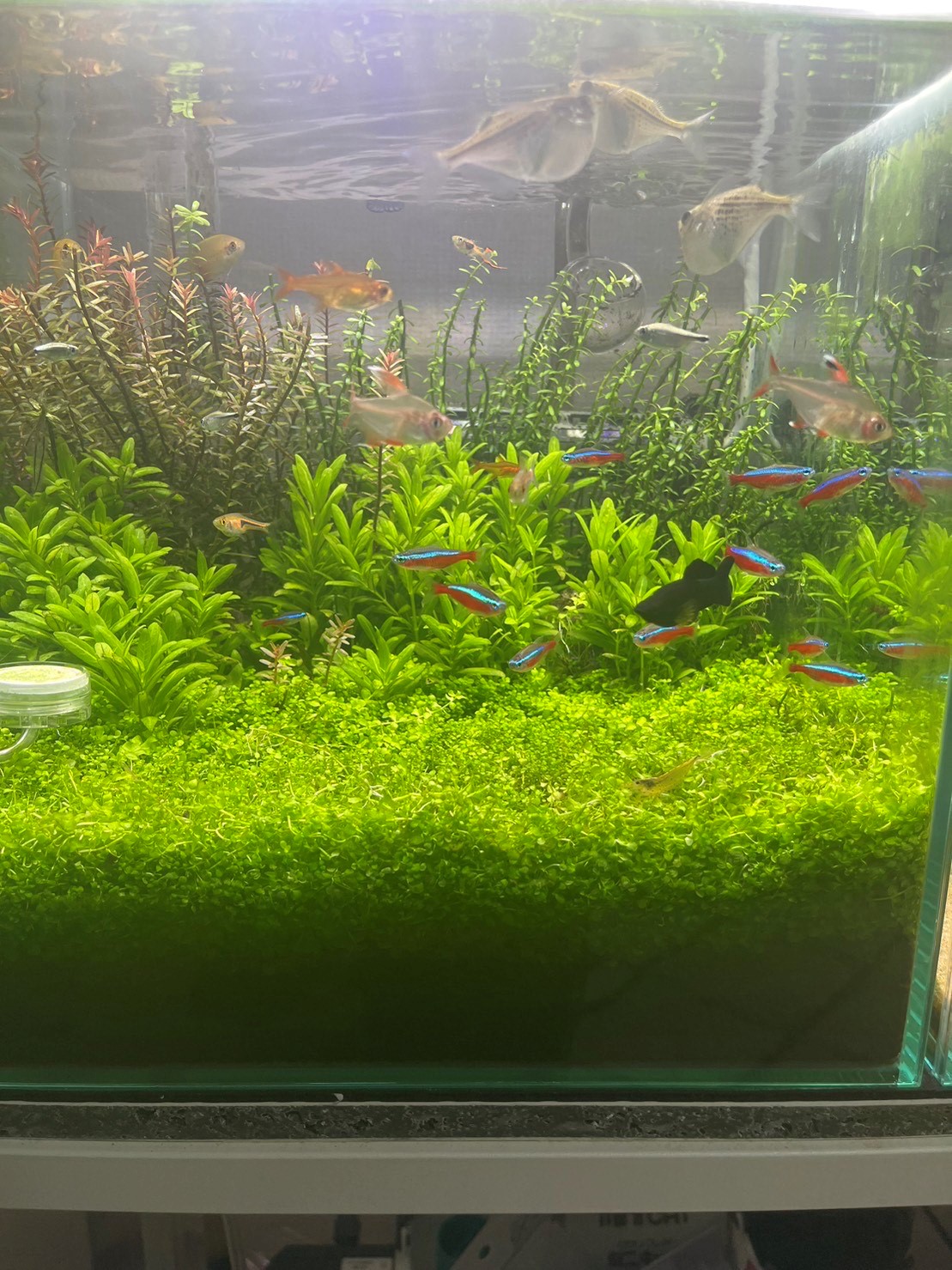 訪問看護スタッフブログ 炭水化物とタンパク質について - Axis Support