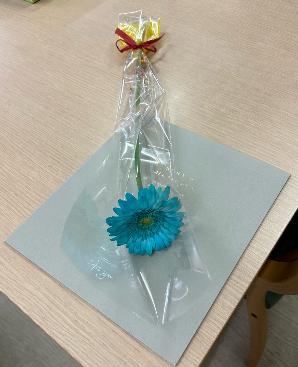 株式会社 Axis Support 10周年 - Axis Support