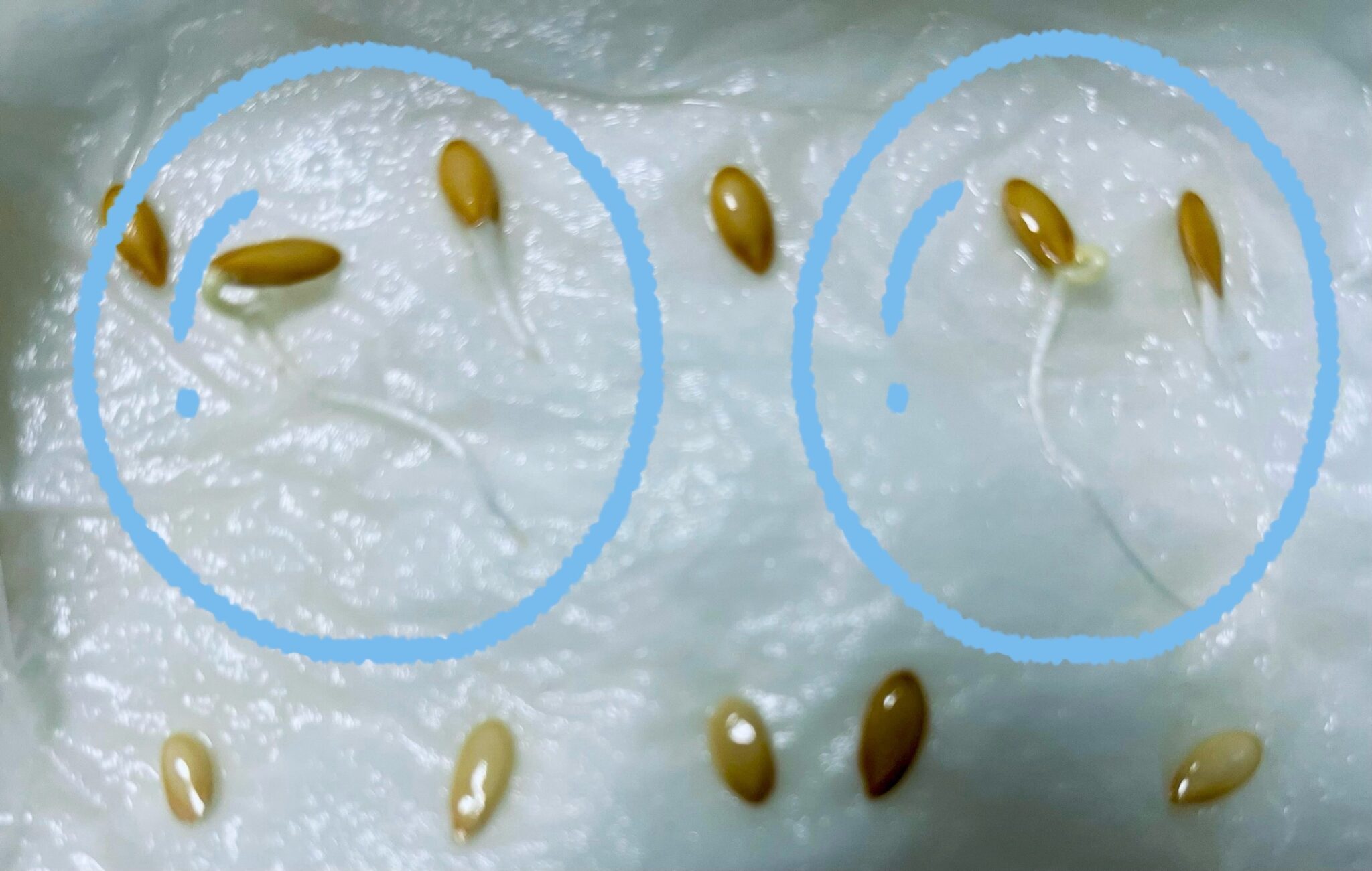 新5000円札？！ - Axis Support