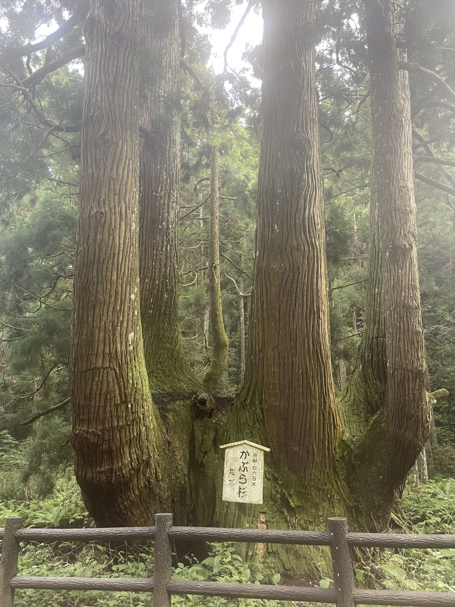 寒くなってきたら、、、 - Axis Support